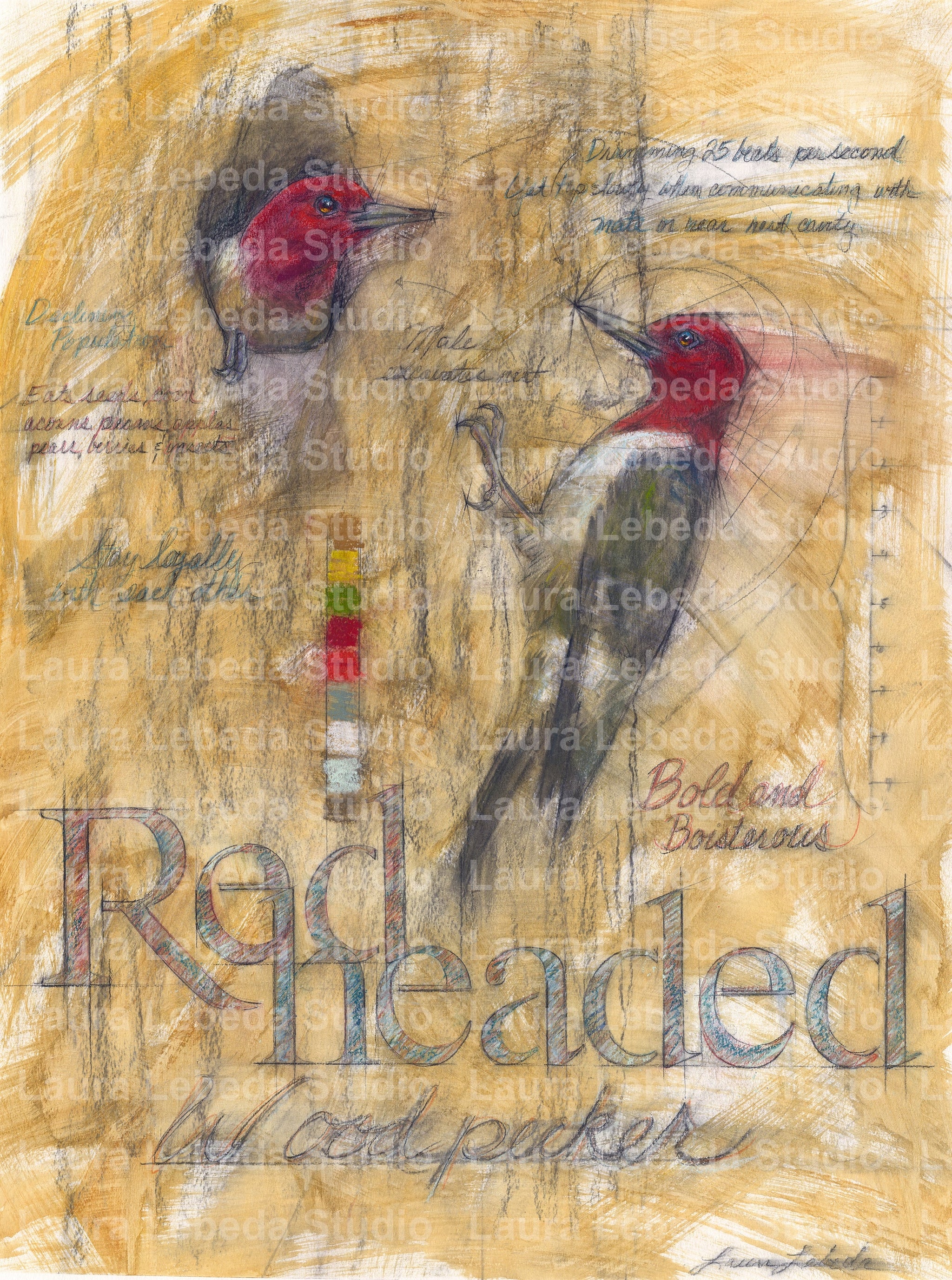 Original Art — Laura Lebeda