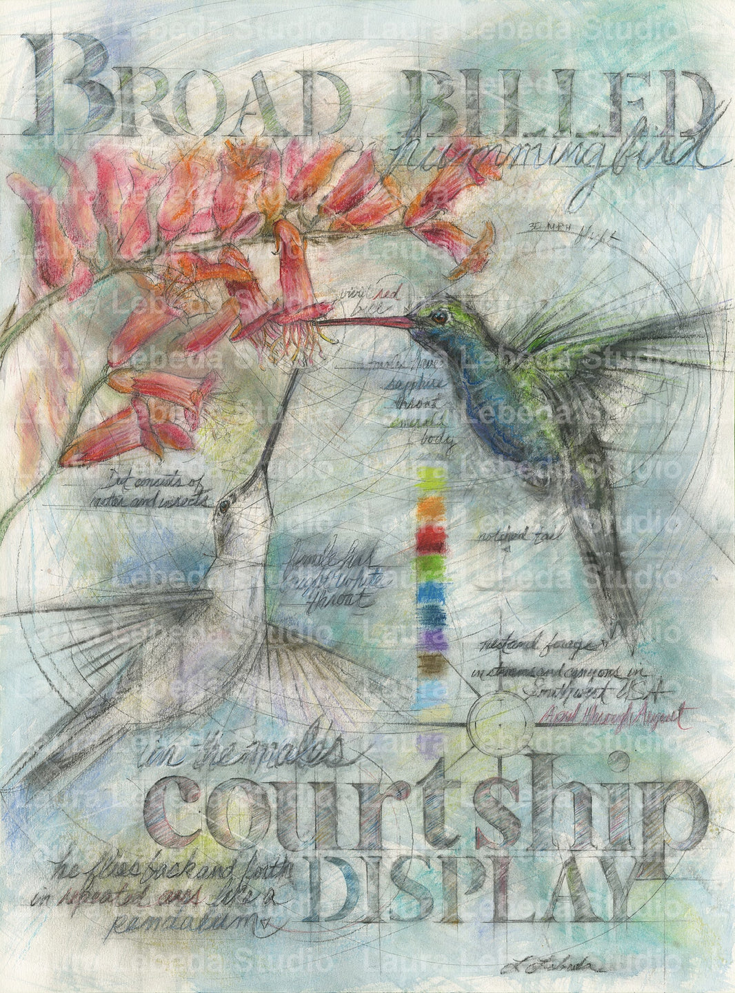 Original Art – Laura Lebeda
