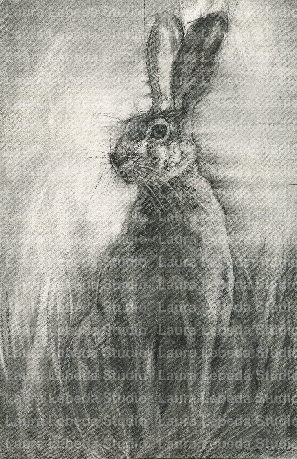 Original Art — Laura Lebeda