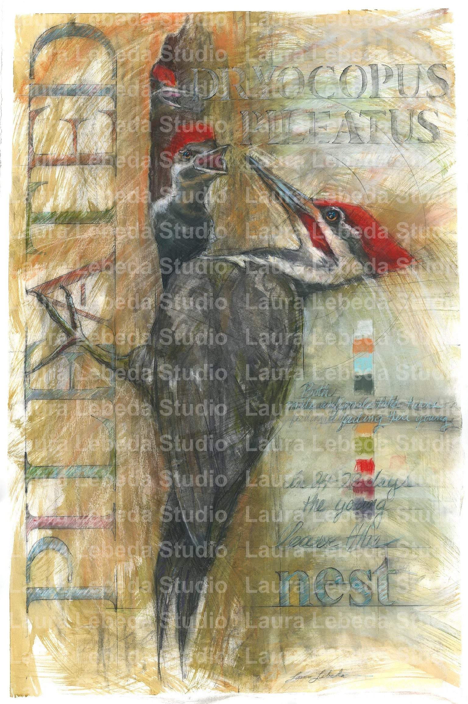 Original Art — Laura Lebeda