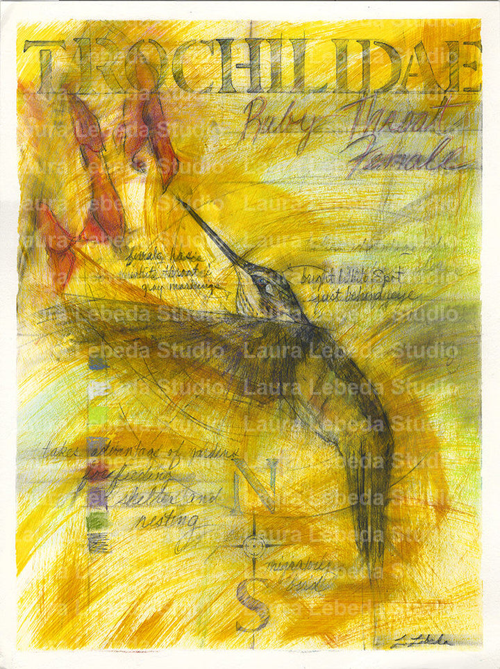Original Art – Laura Lebeda